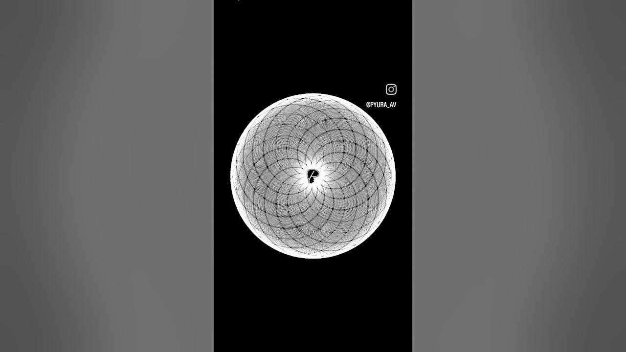 Visualization of Pi being Irrational #AnshPyuraVerma #pyurabooks #pyuraq - YouTube