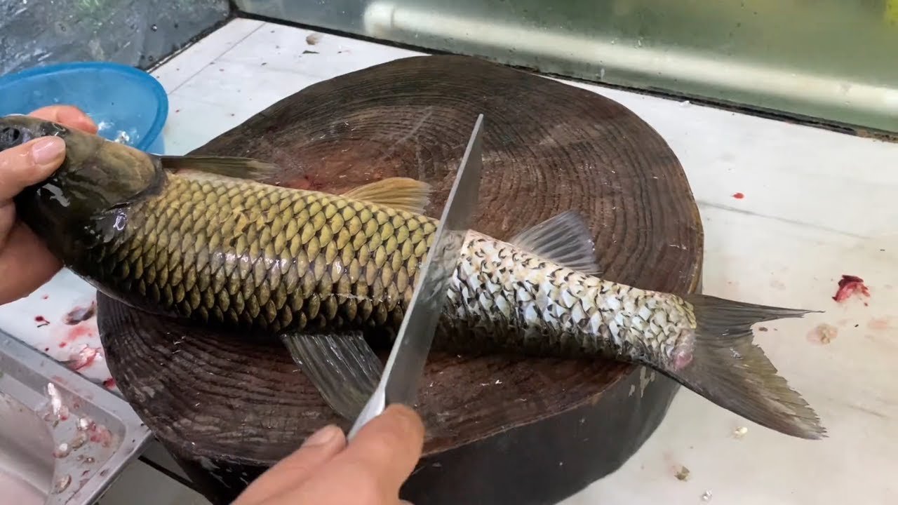 bBg fish cutting fashion - Carp fish cutting skills - FAST - YouTube