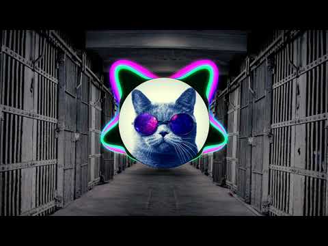 Dani Mocanu-Puiul Meu(Bass Boosted)