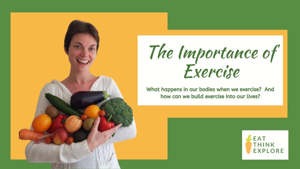 The Importance of exercise - why should you exercise? - YouTube
