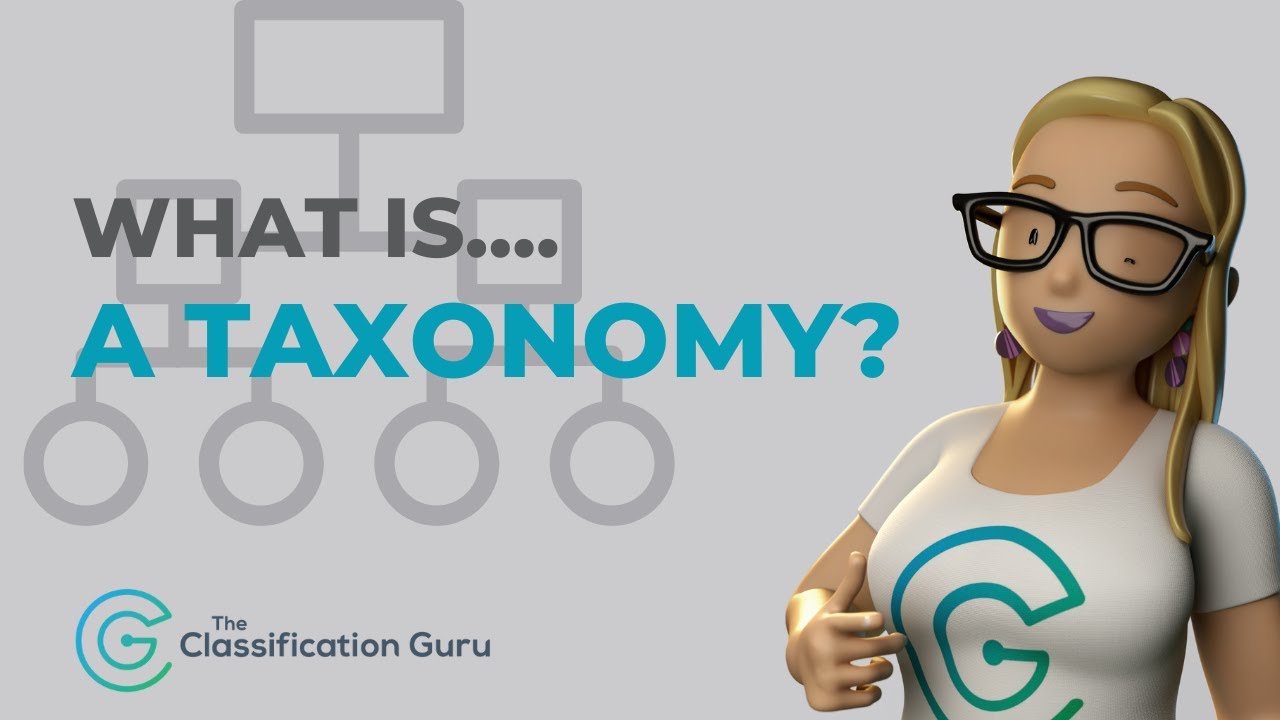 What is a Taxonomy? - YouTube