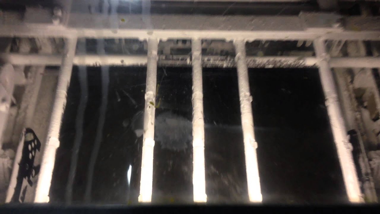 Gang Run Printing - SameDayPrinting.com - YouTube