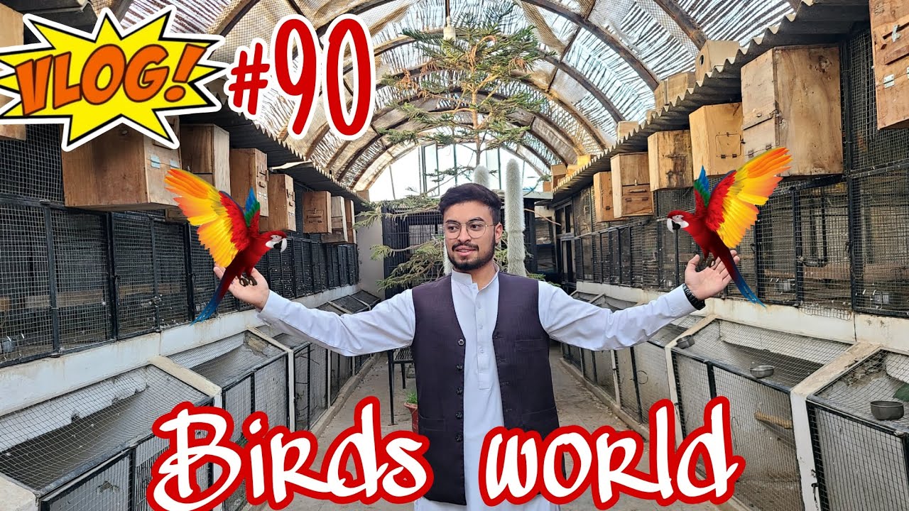 Birds world 🐦🌍 Mini zoo in Quetta - YouTube