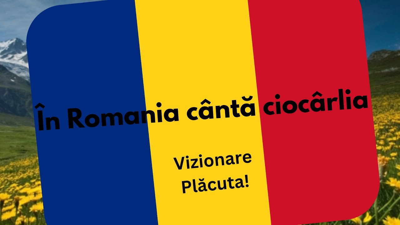 In Romania Canta Ciocarlia-AiChords(Official Video)(Romanian)(Muzica ...