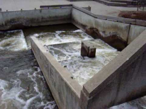 6th street damn & Fish Ladder Grand Rapids Mich - YouTube
