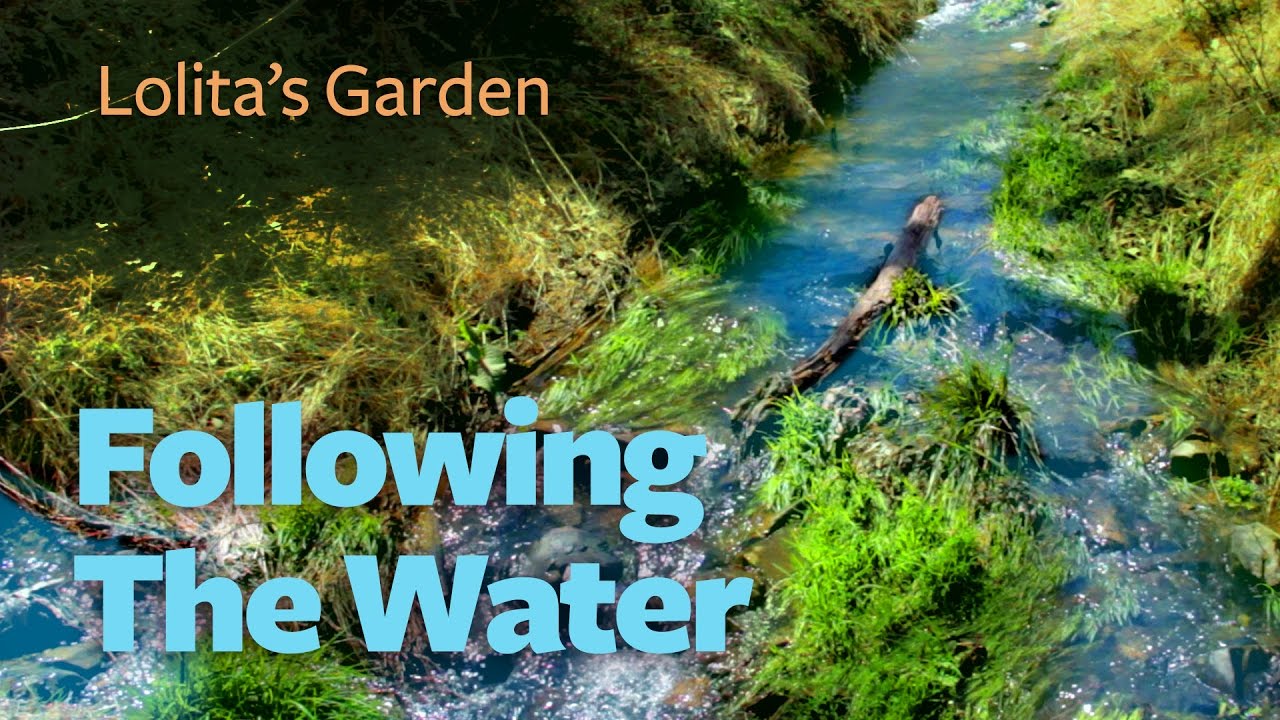 How Water Flows on Our Land - YouTube