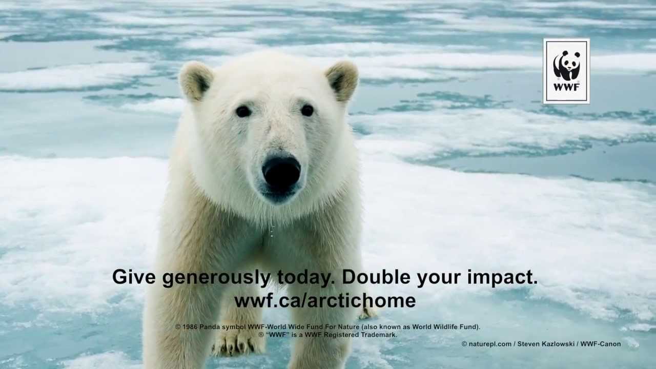 Arctic Home - WWF - YouTube