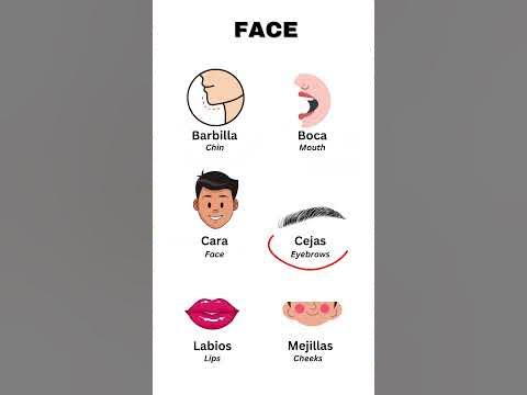 Learn Spanish: Face words - YouTube