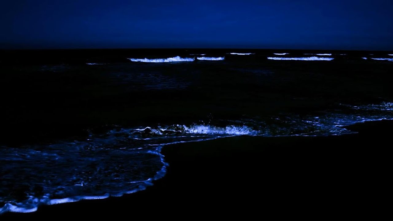 Fall asleep to waves all night, ocean sounds to sleep deeply on the ...