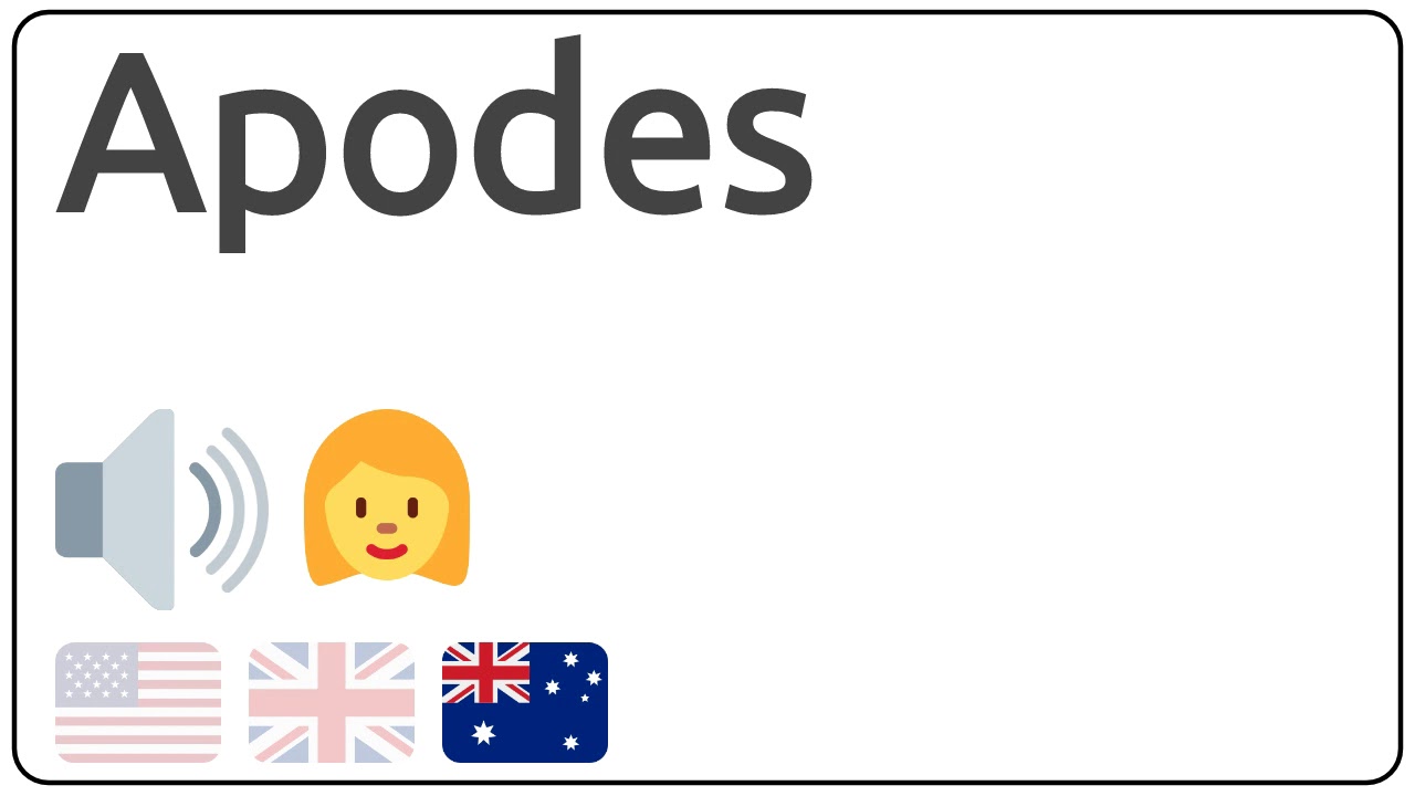 How to pronounce Apodes in english? - YouTube