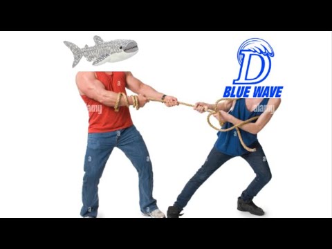 The Darien high school tug o war contest