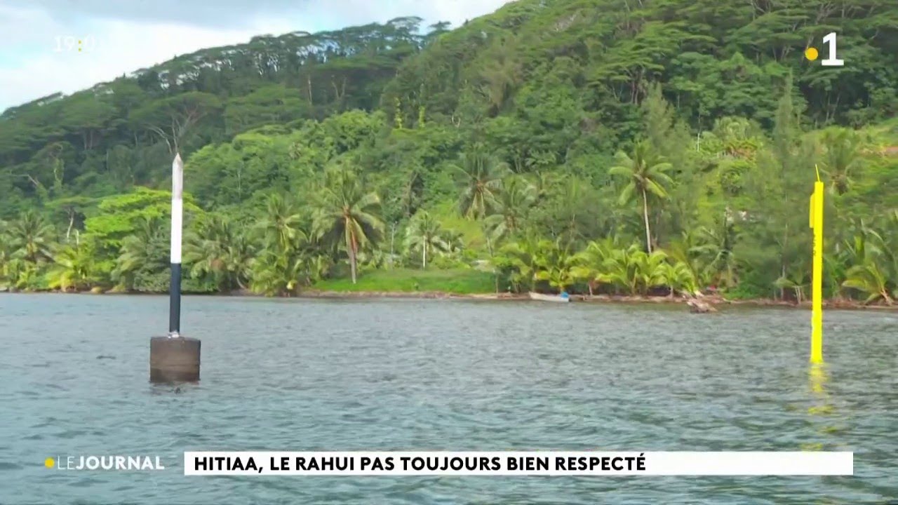 Hitia'a : inquiétude autour du rahui pas respecté - YouTube