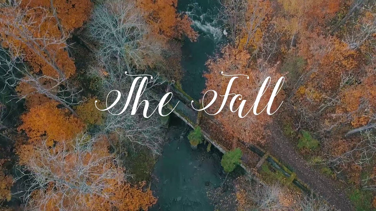THE FALL | Cinematic nature video - YouTube