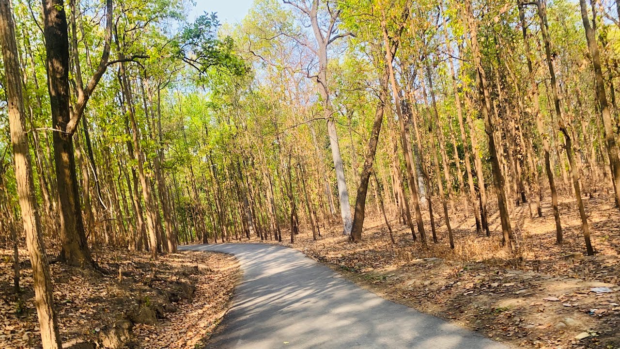 My first vlog (deepnagar to charange jungle side road) - YouTube