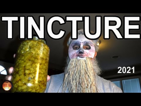 How To Make A Hop Tincture With Fresh Cascade Hops - YouTube
