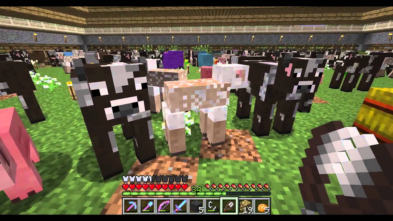 Minecraft - Shearing Sheep - Episode 8 - YouTube