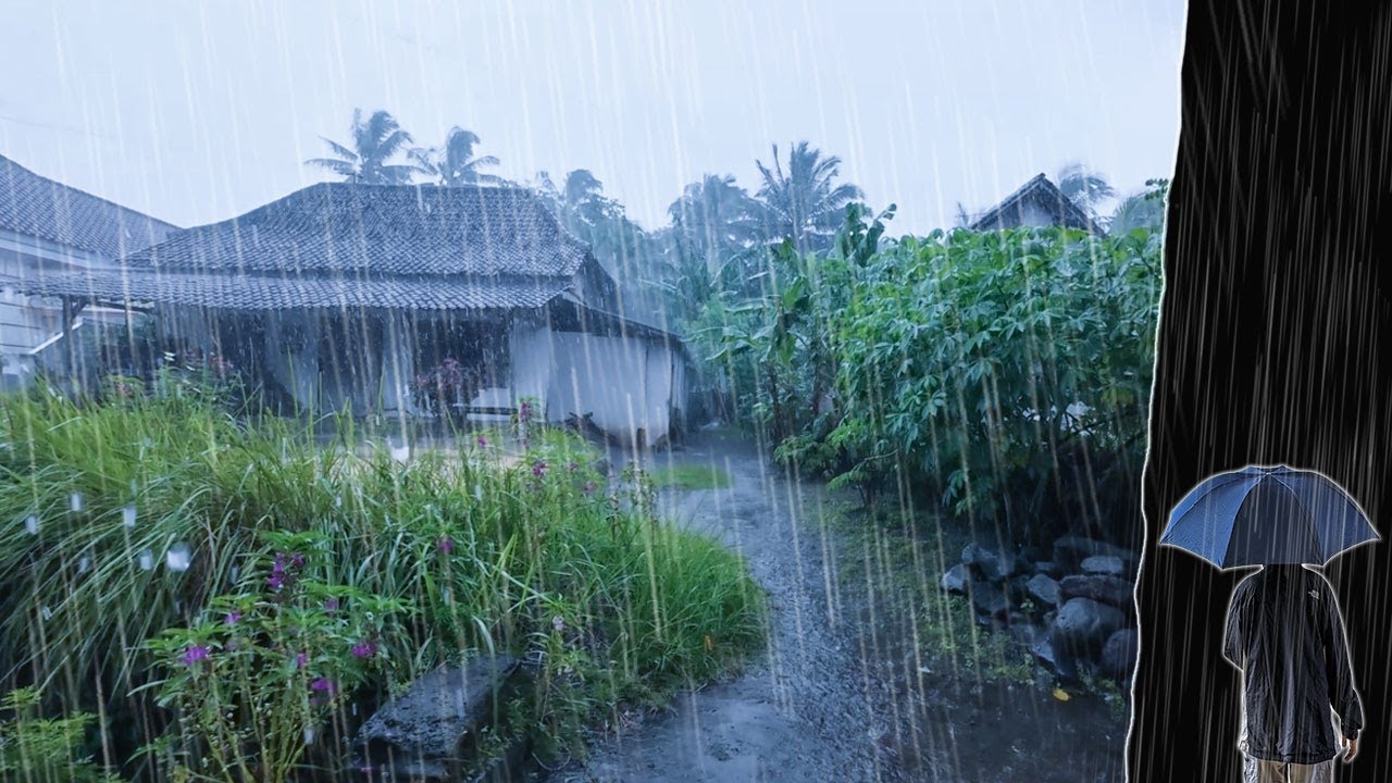 2 Hours Relaxing Rain Walk in Indonesian Village | ASMR Rain Sounds ...