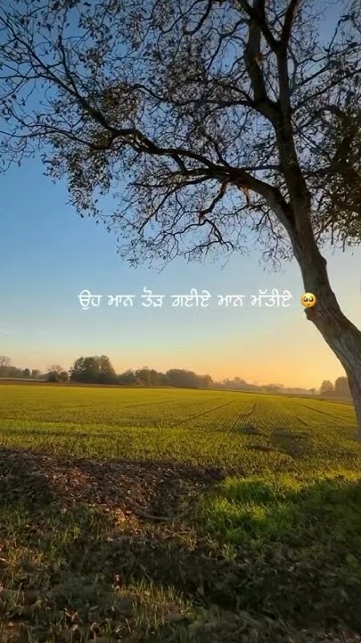 New Punjabi Status | Punjabi Love Status | New Punjabi Song 2025 | Love Status Punjabi # ...