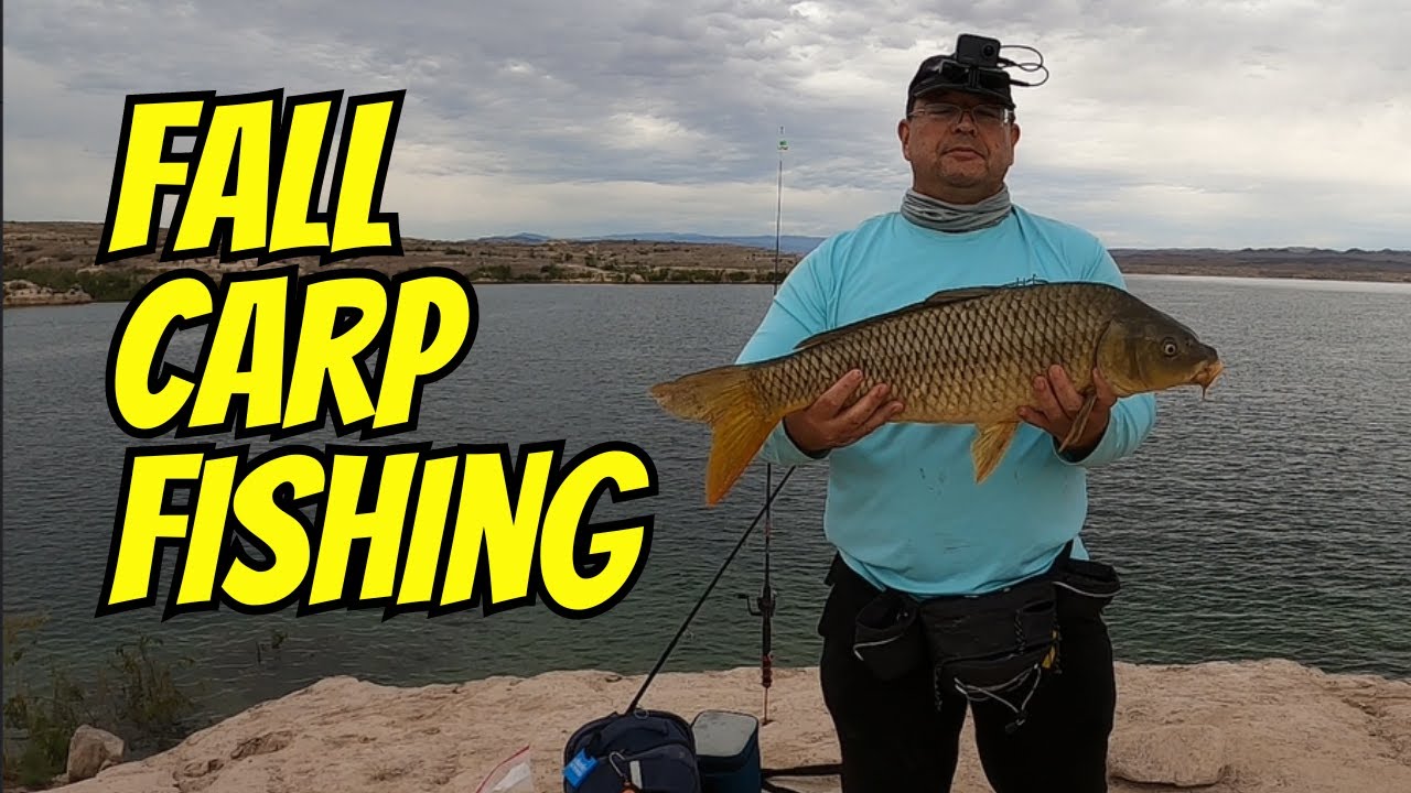 Fall Carp Fishing | Late Morning Bank Fishing - YouTube