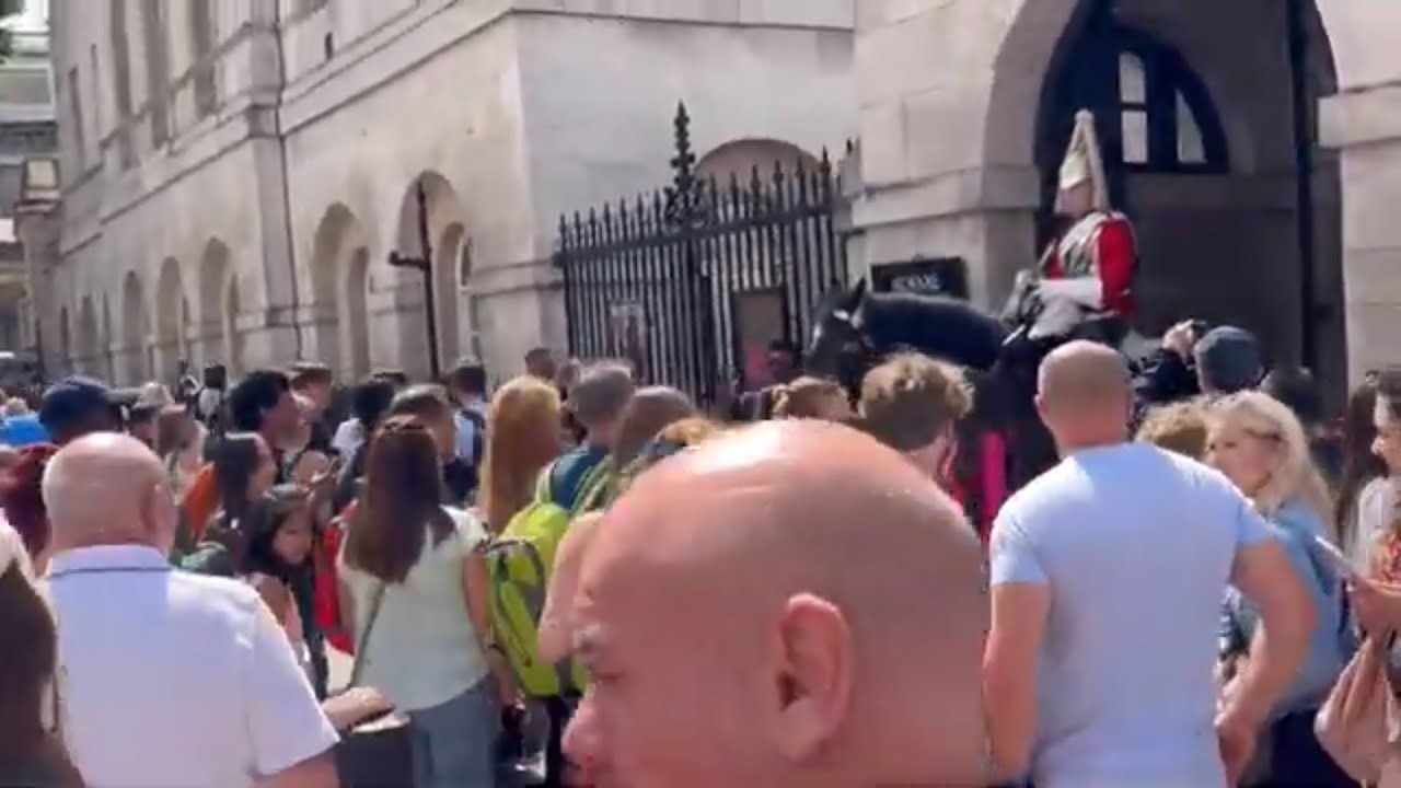 Watch what happens at horse guards parade with king' guard! - YouTube