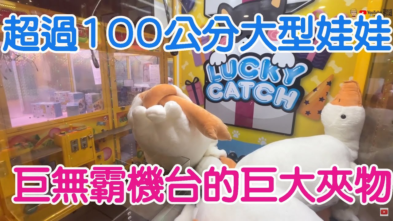 【賀董】 夾娃娃 好大的一隻鵝 台湾 UFOキャッチャー taiwan UFO catcher คลิปตุ๊กตา Clip búp bê ...