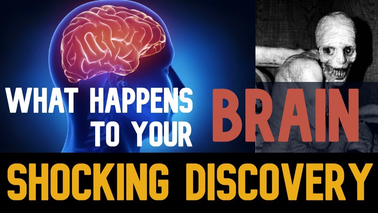 What would happen to your brain without sleep! - YouTube