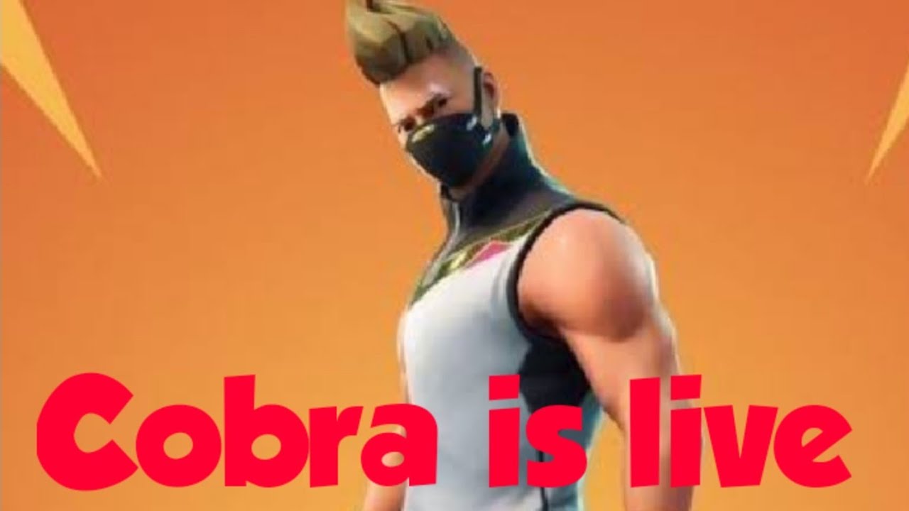 Supporting stream { Cobra is live } - YouTube