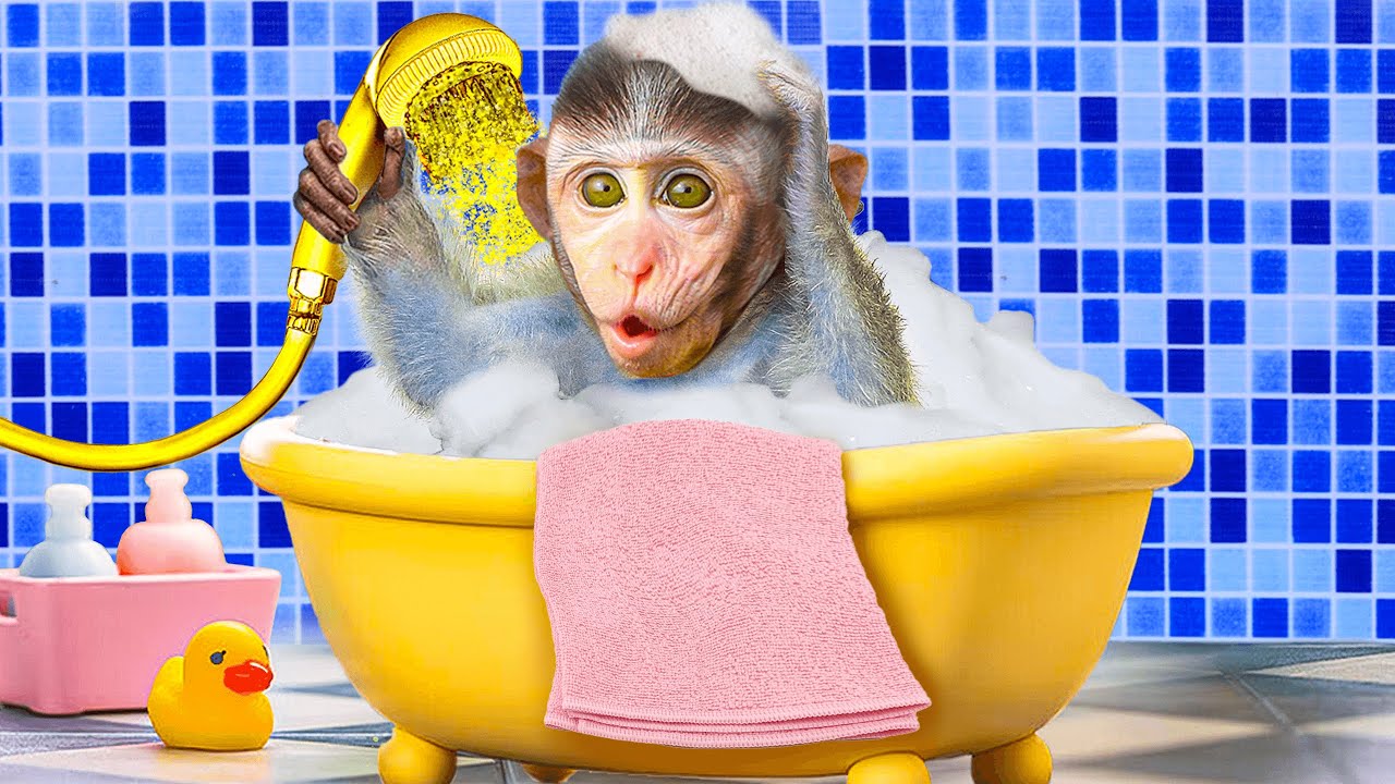 Baby Monkey Chu Chu go fishing And Eats Ice Cream So Yummy With Puppies ...