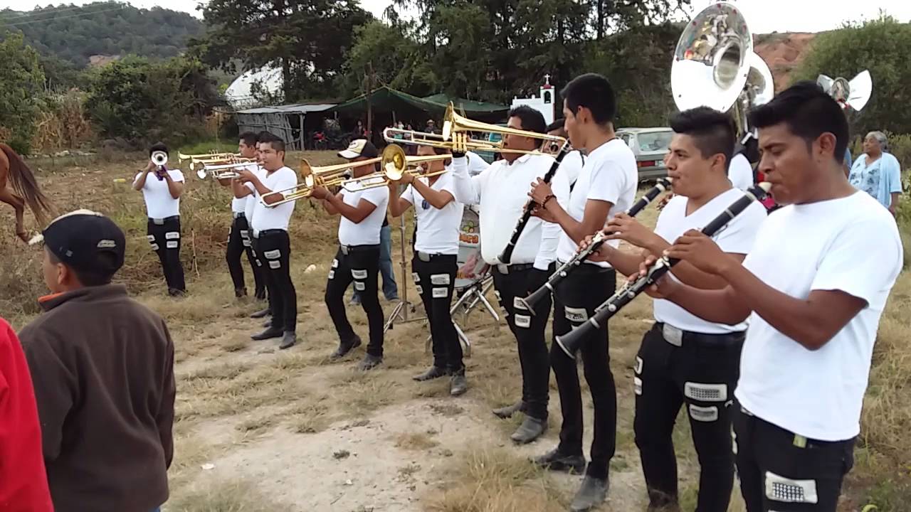 EL ALACRAN BANDA ENCINERA 2015 - YouTube
