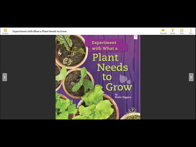 Plant Growing Experiments Pot Experiment On The Effect Of V1 On The