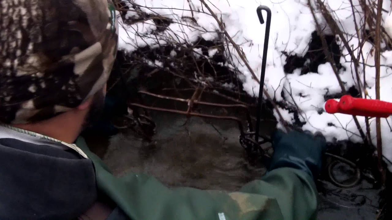 How Set Beaver Traps Near a Lodge - YouTube