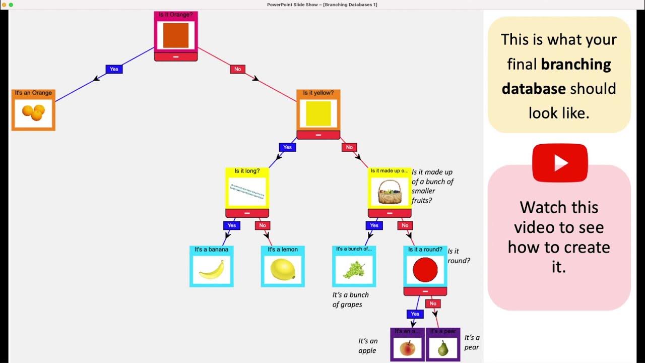 Year 3 Lesson 2 - Branching Database - YouTube