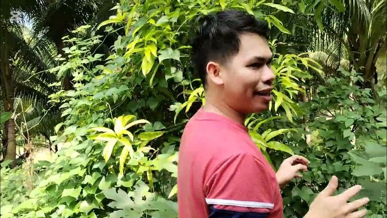 Nanguha ug Utanon Nasakpan sa Tag iya😂 - YouTube