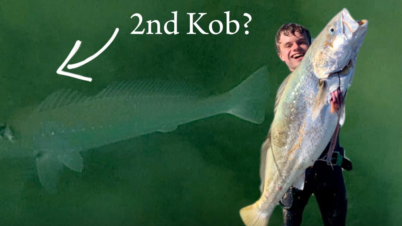 Spearfishing BIG KOB - then losing it! - Port Elizabeth, SA (Mulloway ...