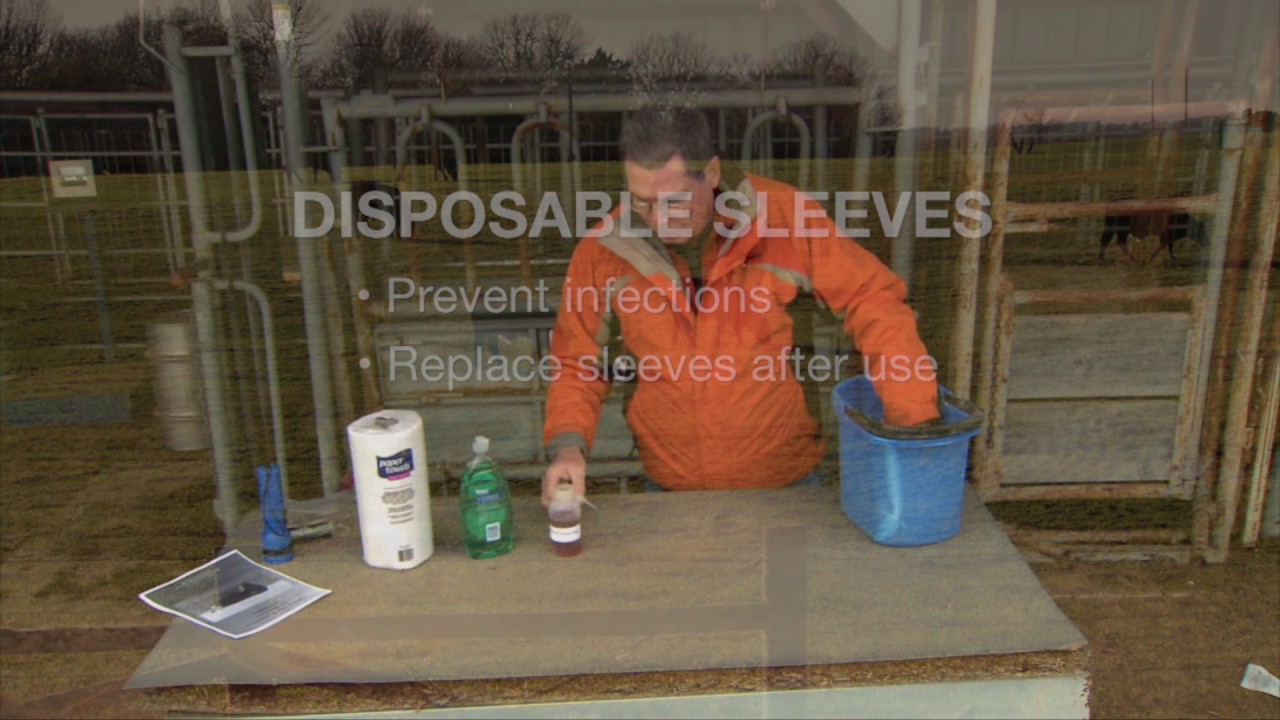 Cow-Calf Corner: Calving Kit Preparation (1/21/17) - YouTube