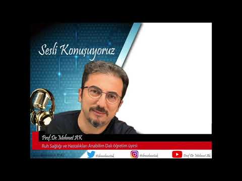 Fikri-i Sabitler