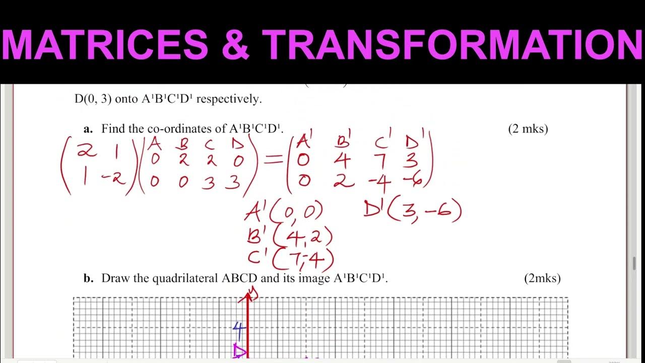 MATRICES & TRANSFORMATION - YouTube