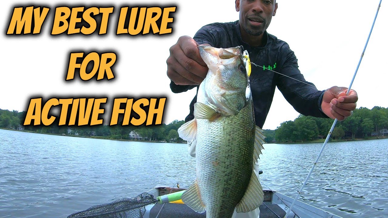 My Best Lure for Active Fish - YouTube