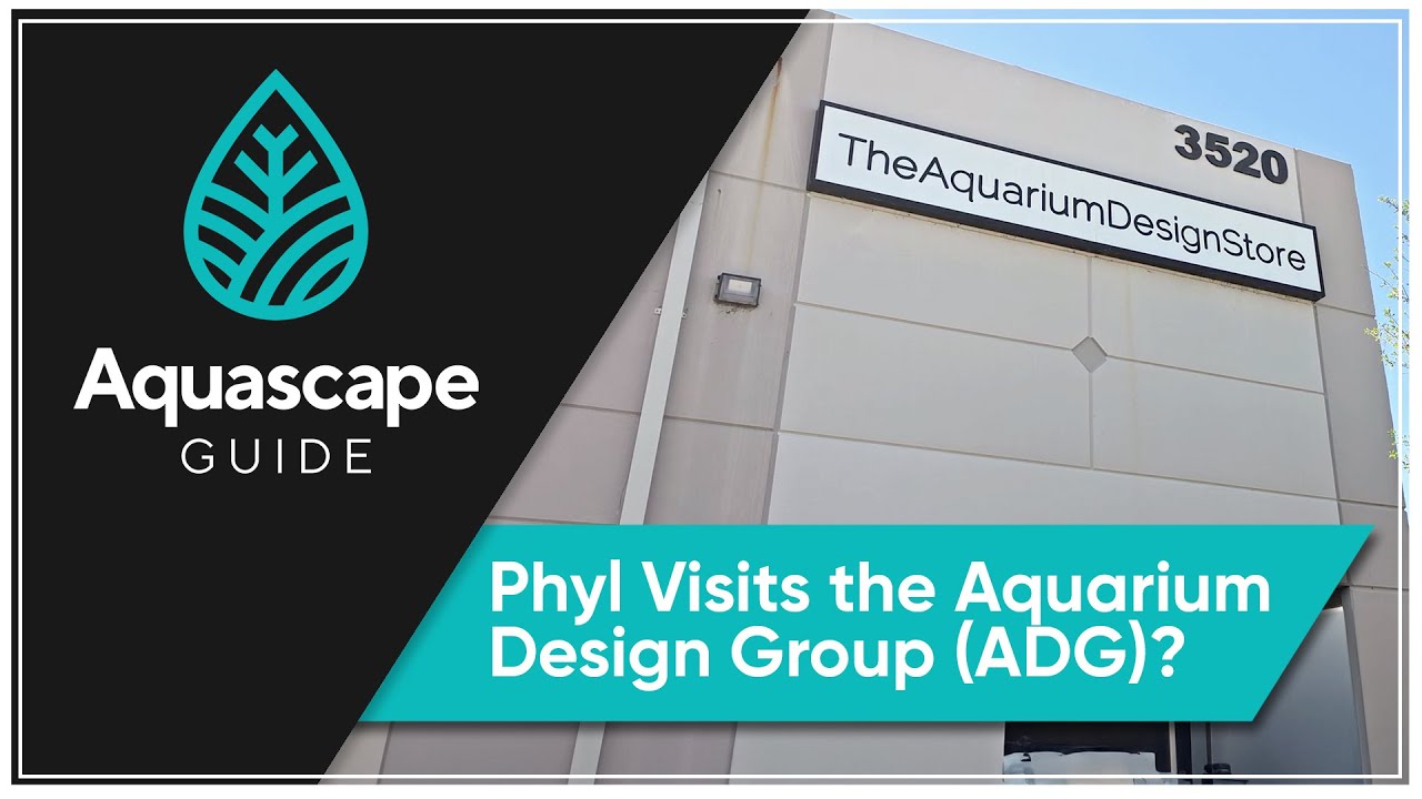 Aquascape Guide - Visiting the Aquarium Design Group (ASG) Houston ...