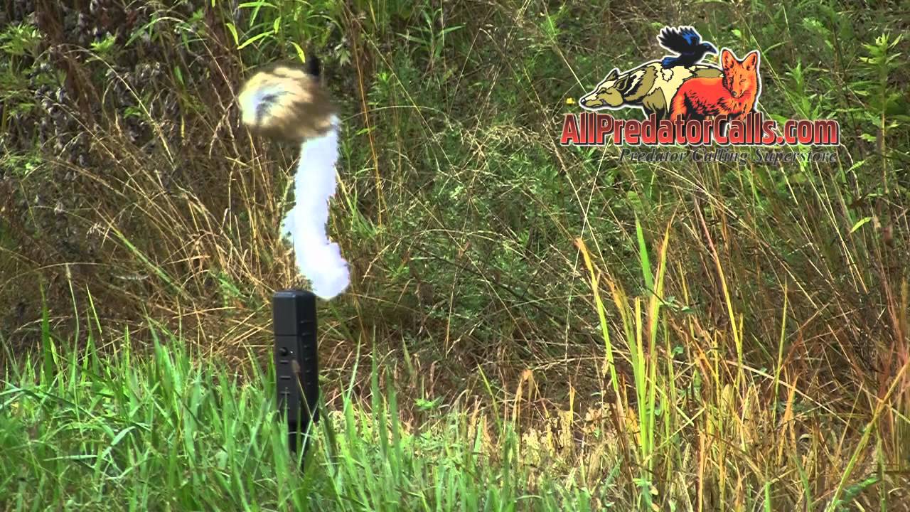 FOXPRO Black Jack Decoy Review - YouTube