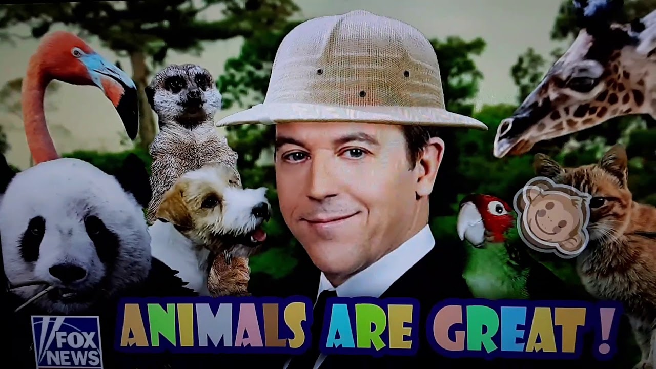 Gutfeld knows dogs. - YouTube