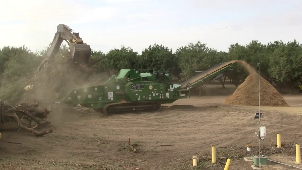 Bandit Beast Model 4680 Track grinding Almond Trees - 1050hp! - YouTube