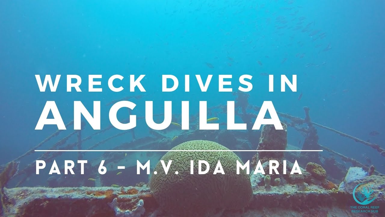 Wreck Dives In Anguilla Ida Maria Artificial Coral Reef Caribbean Ship ...