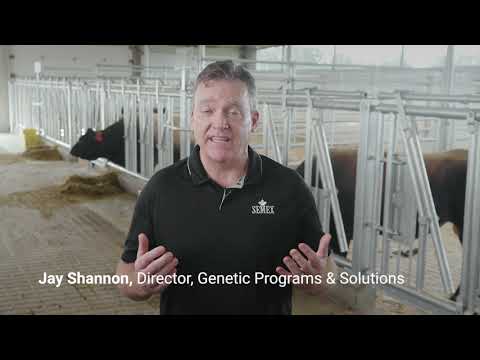 Semex Product Development