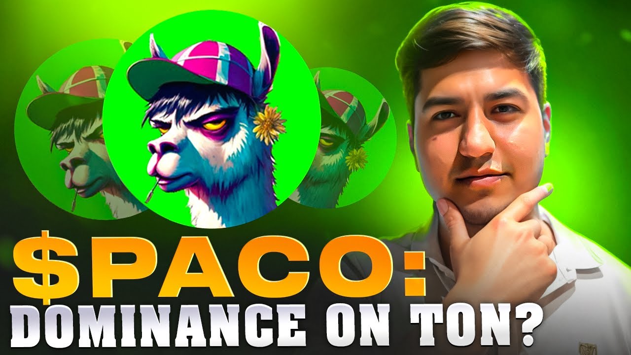 Will $PACO be the Memecoin Leader? - YouTube