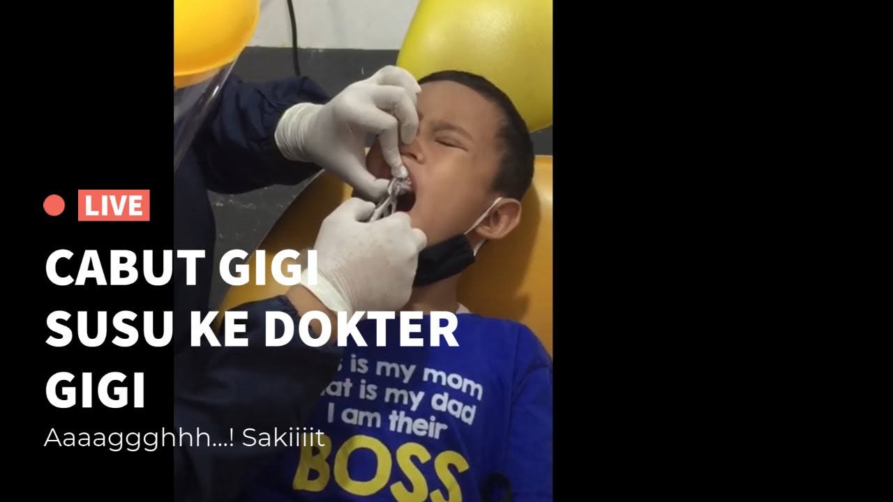 Cabut Gigi Susu | Berani sendiri ! - YouTube