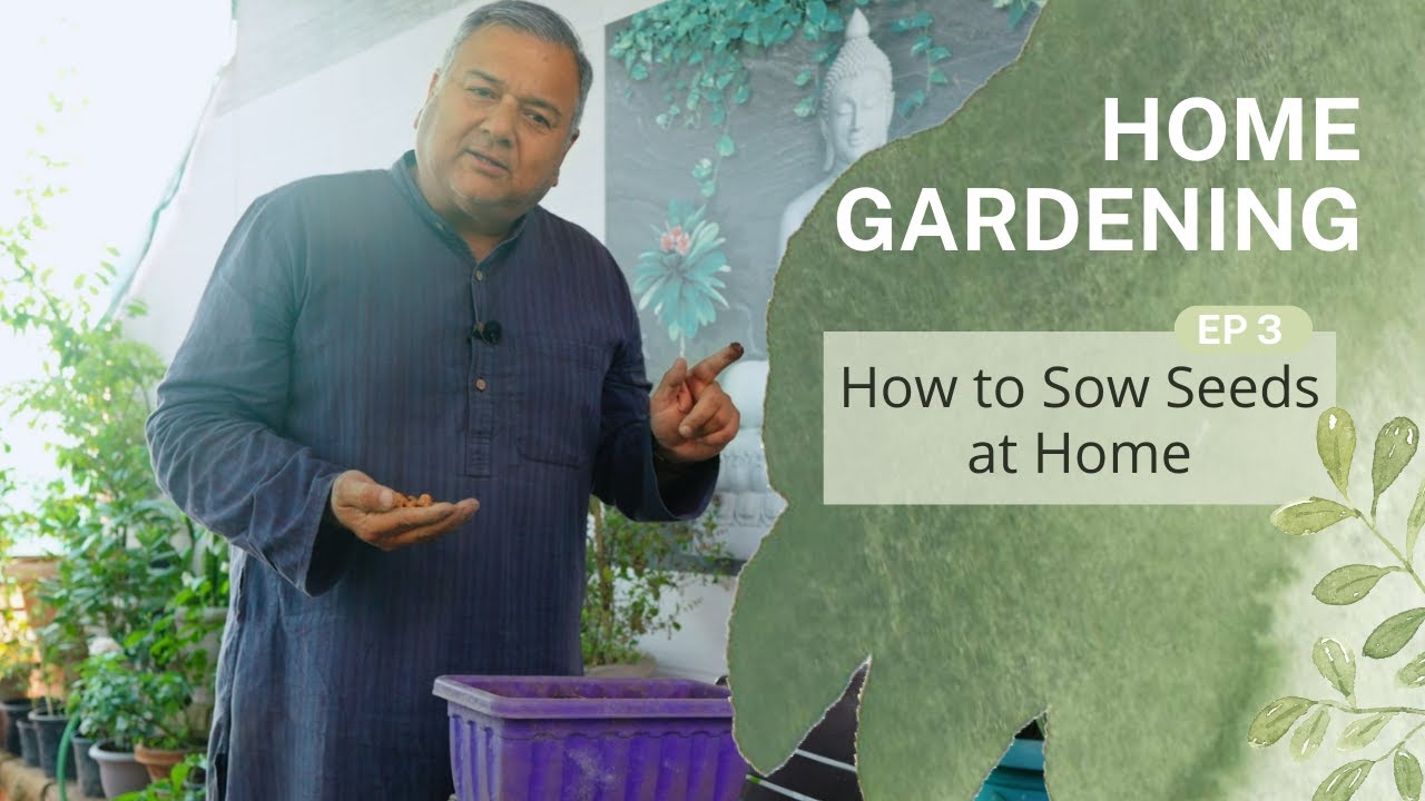 Home Gardening | Ep 3 - How to Sow Seeds at Home - YouTube