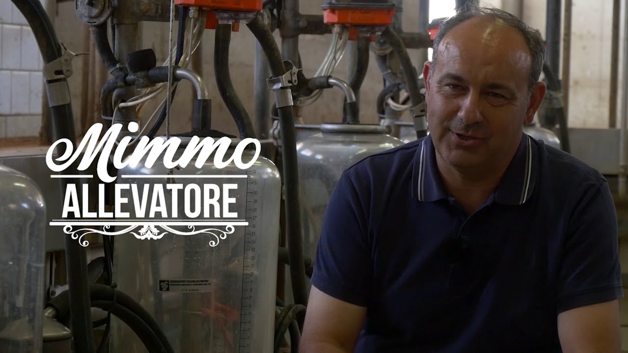 The Doc Farm Pezzaviva Puntata 3 - YouTube