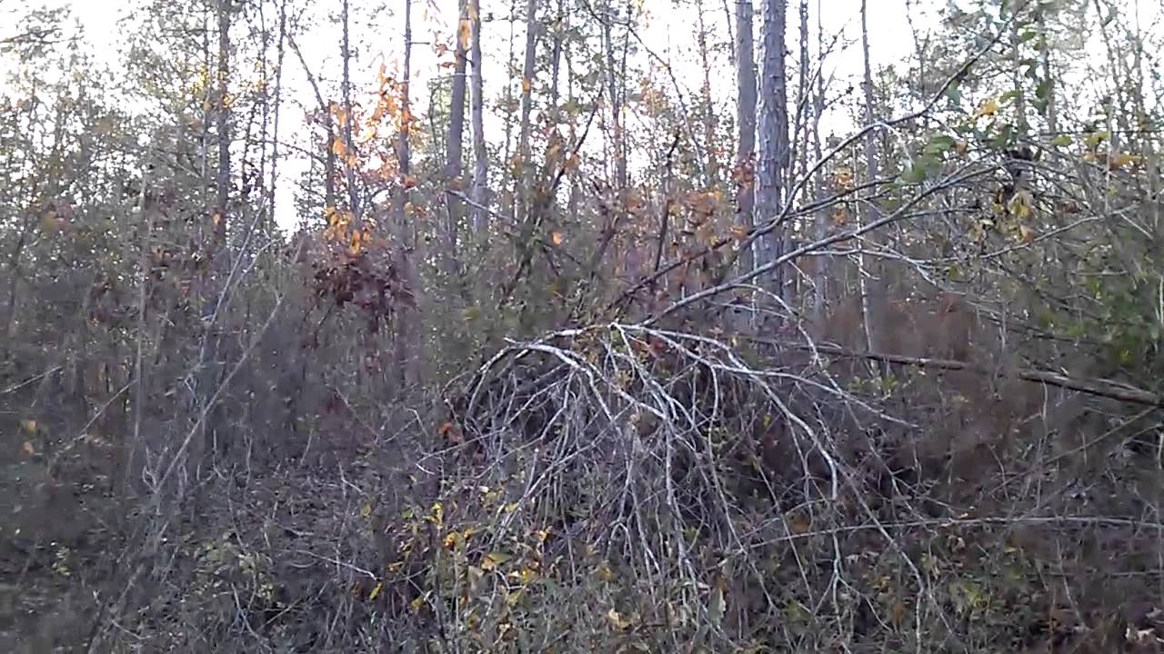 NEW Bigfoot Hideouts-Sasquatch Hiding Places - YouTube
