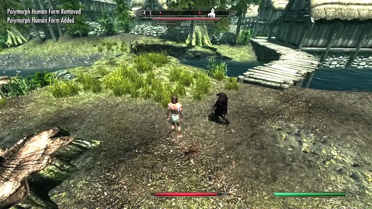 Skyrim Master Shape Shifter - YouTube